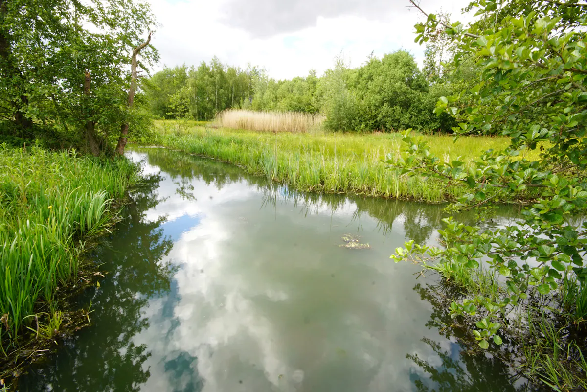 Het Beekdal - Utrechts Landschap