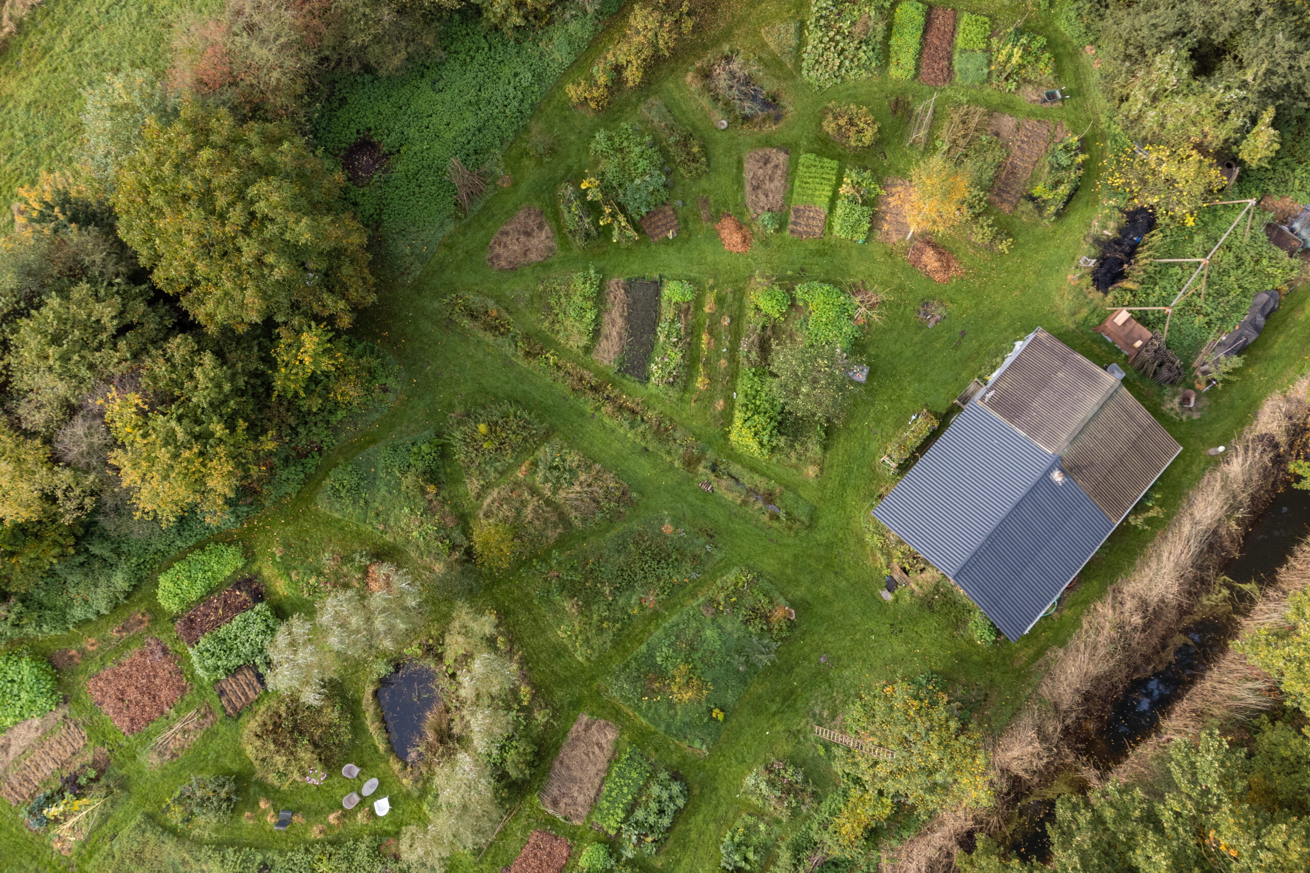 Avonturen van een moestuin in de herfst - Utrechts Landschap