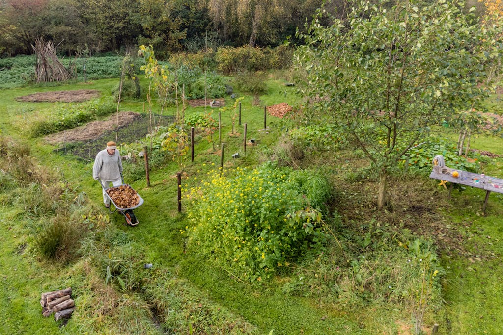 Avonturen van een moestuin in de herfst - Utrechts Landschap