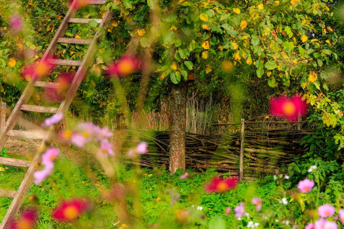 Avonturen van een moestuin in de herfst - Utrechts Landschap