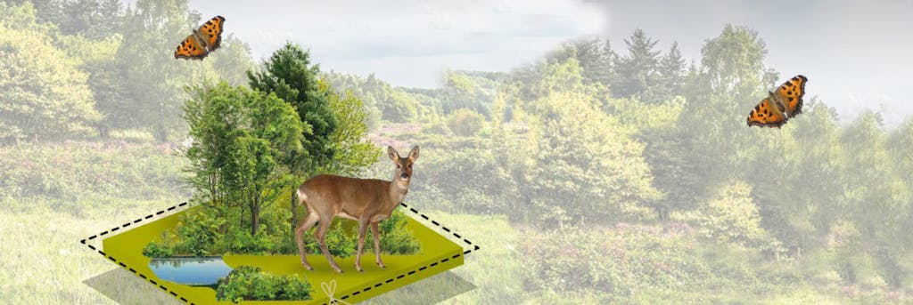 Utrechts Landschap verwerft natuurgebied Vogelenzang in Rhenen ...